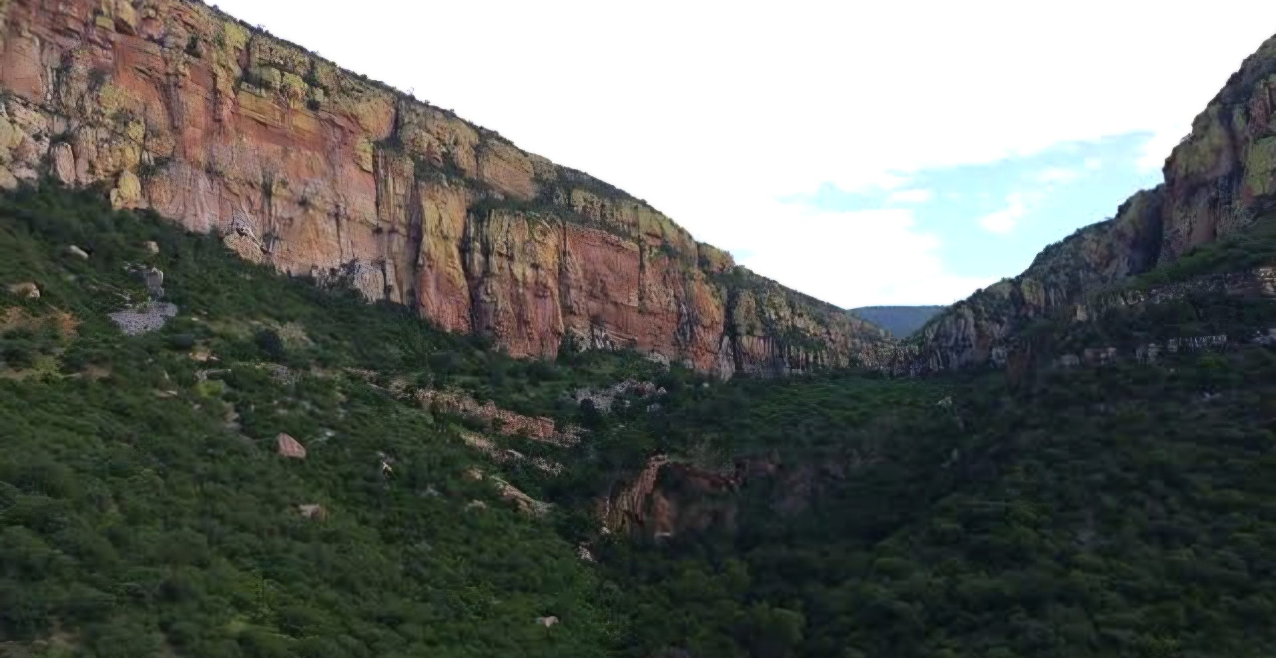 Man shoot and kill his wife's Nyatsi in Sofaya Village - Limpopo Chronicle